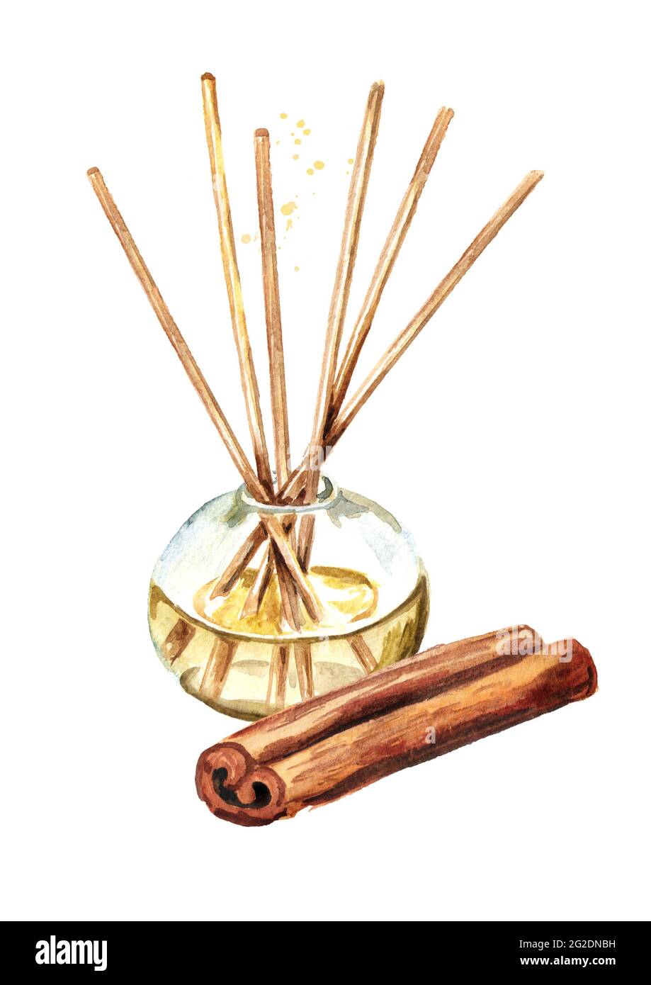 Cinnamon aroma liquid in a glass bottle with sticks. Hand drawn ...