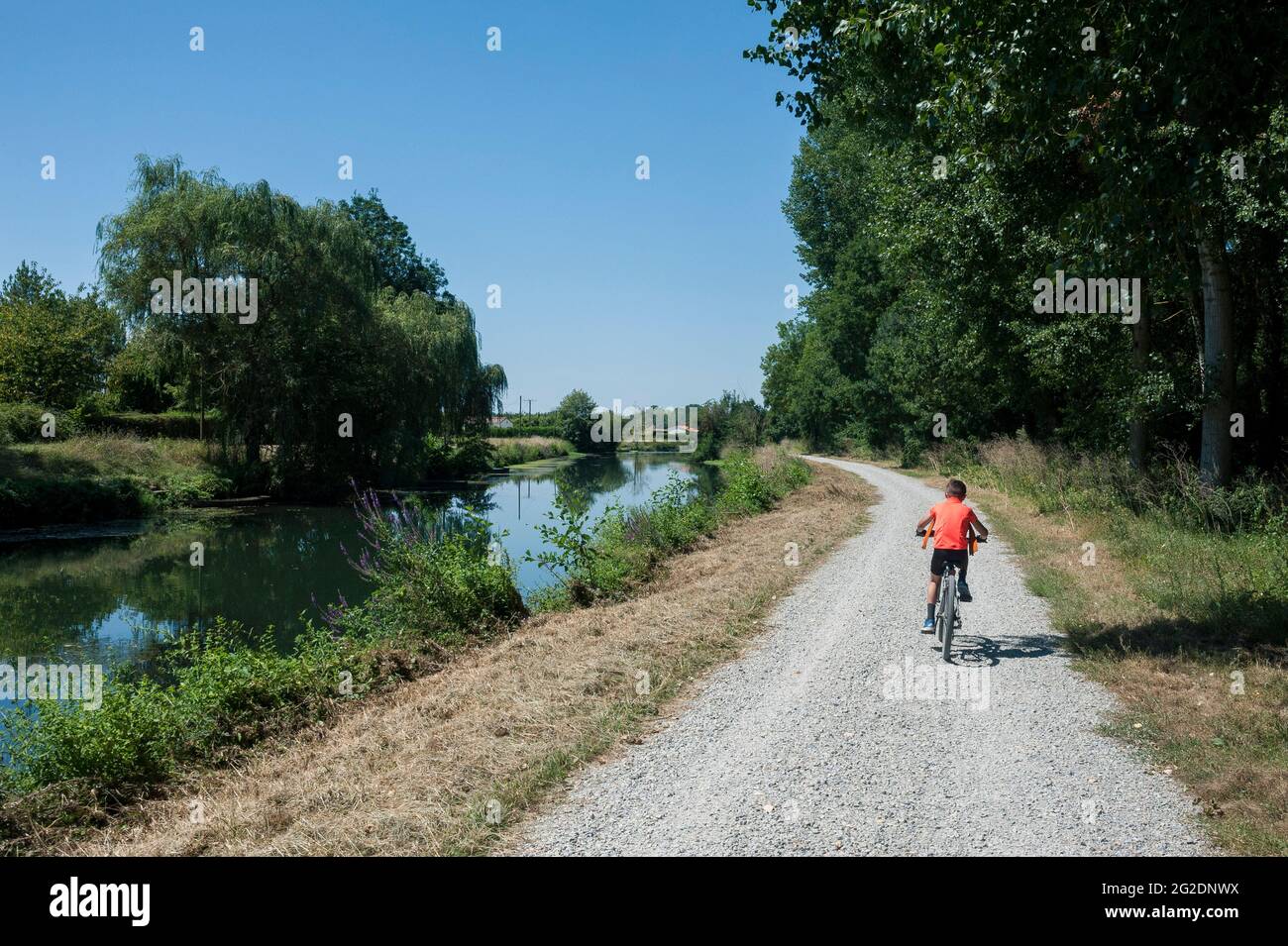 A family cycle through nature in rural france and explore the landscape ...