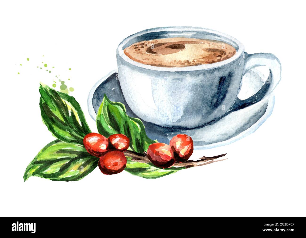 Cup of natural coffee with green coffee branch. Watercolor hand drawn ...