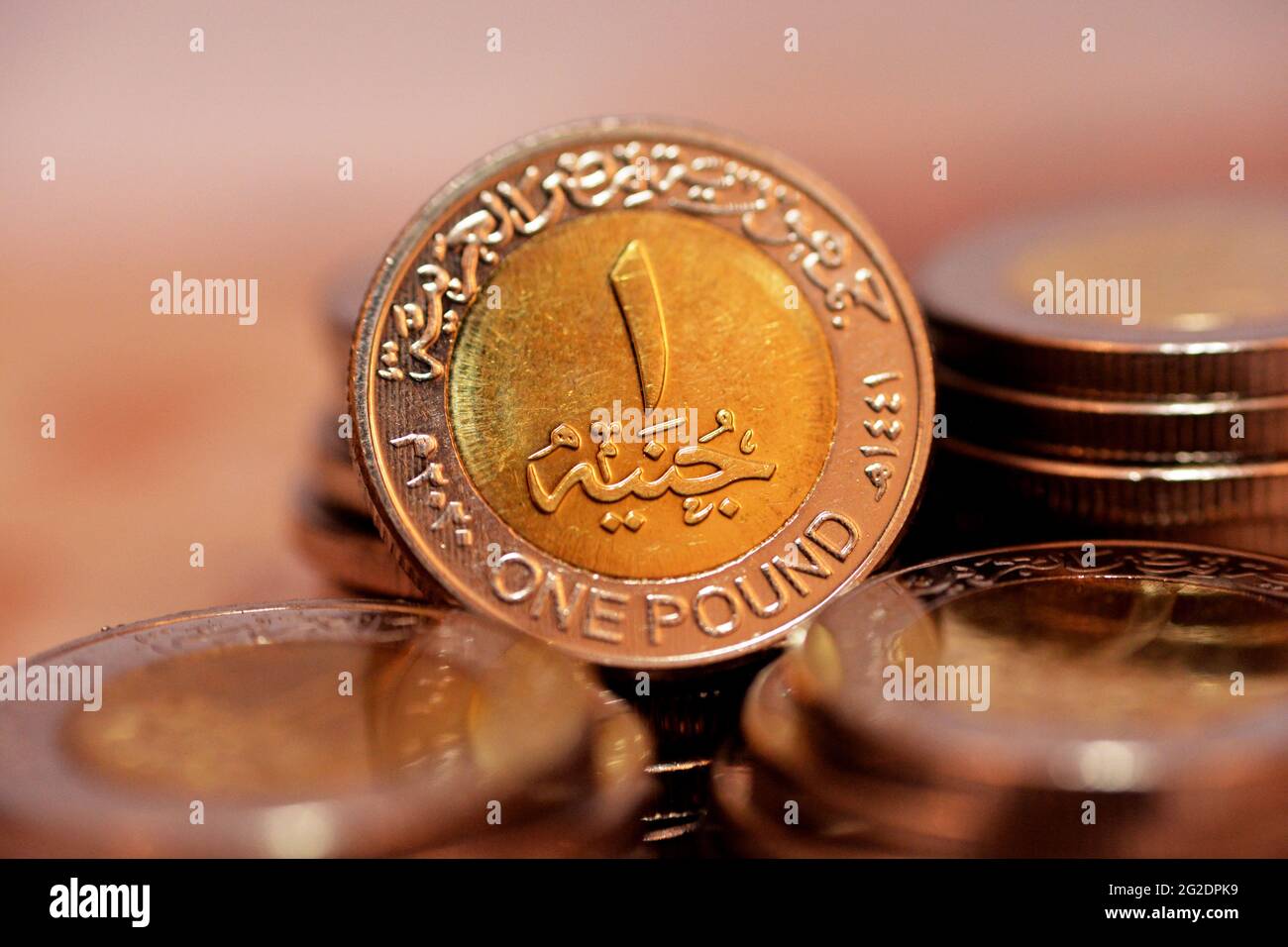 close up of the reverse of Egyptian one pound coin year 2020 ...