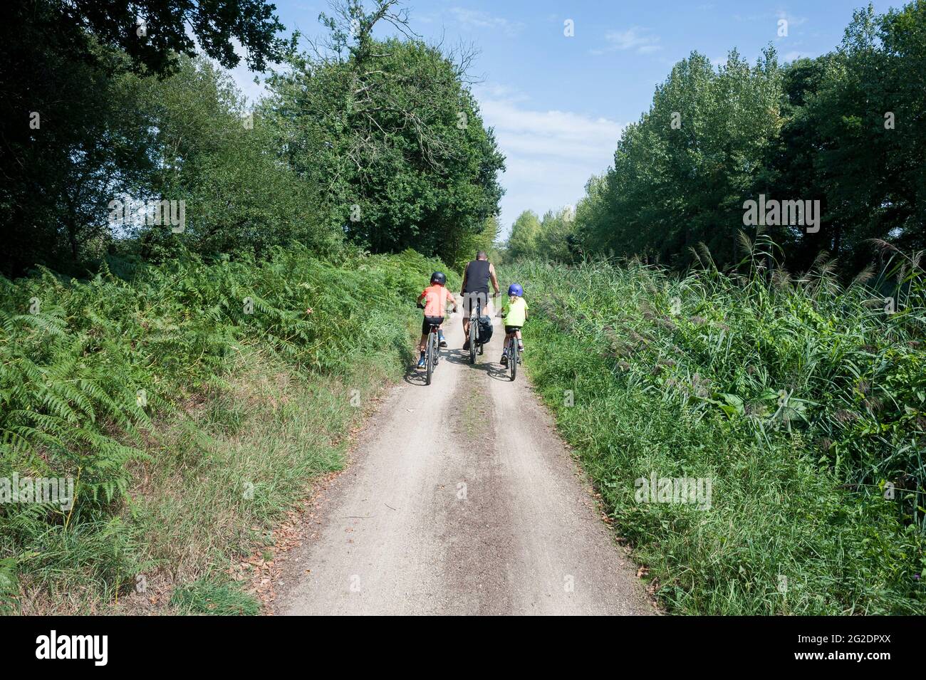 A family riding bikes in France in the summer on cycle paths exploring ...