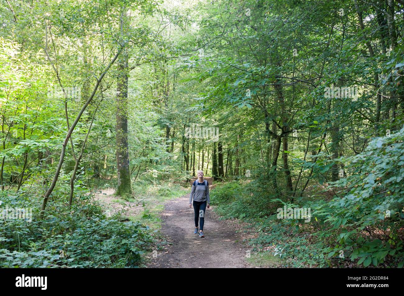 A family exploring woods on a walk in France in the summer with lovely ...