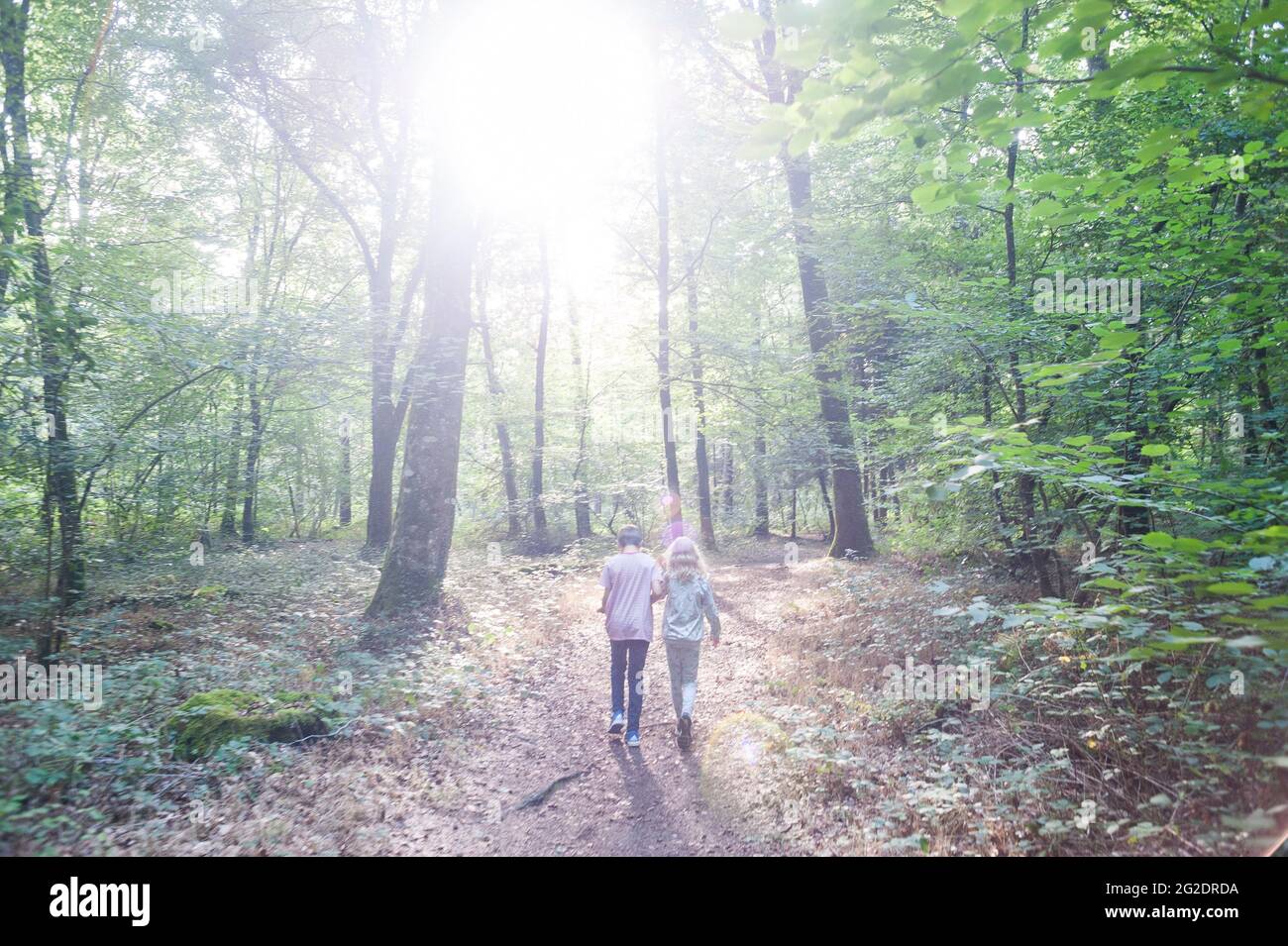 A family exploring woods on a walk in France in the summer with lovely ...
