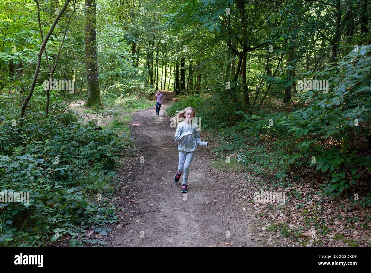 A family exploring woods on a walk in France in the summer with lovely ...