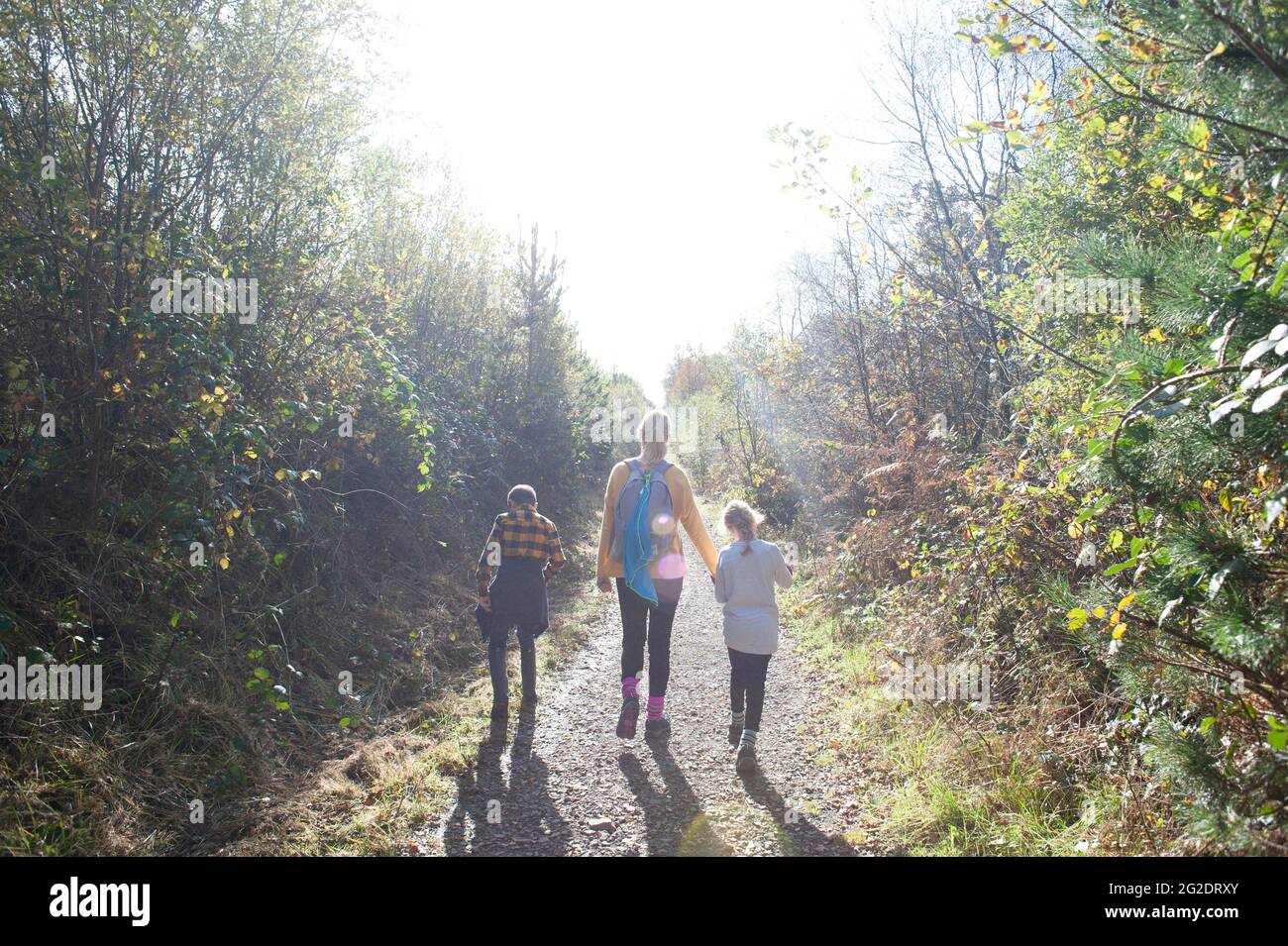 A family exploring the woods in Wales on a lovely walk Stock Photo - Alamy