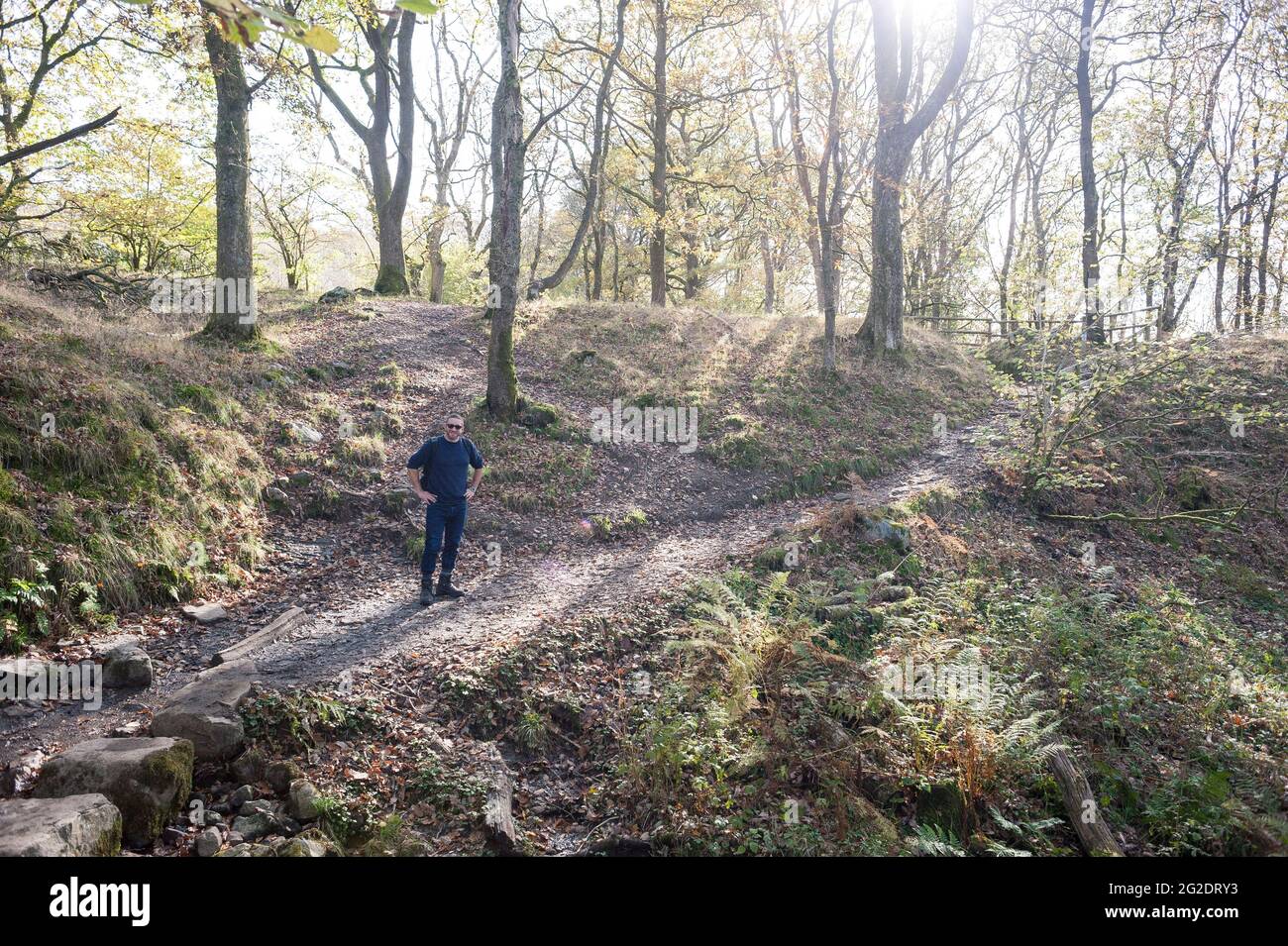 A family exploring the woods in Wales on a lovely walk Stock Photo - Alamy