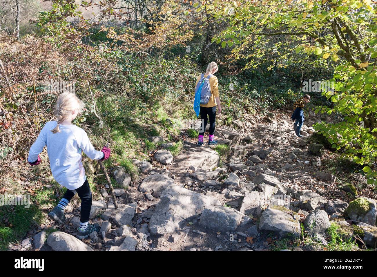A family exploring the woods in Wales on a lovely walk Stock Photo - Alamy