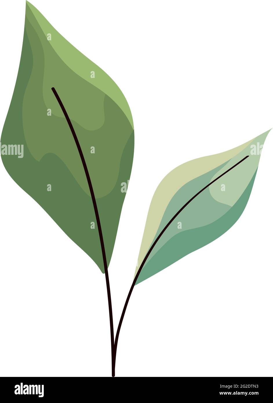 two leaves icon Stock Vector Image & Art - Alamy