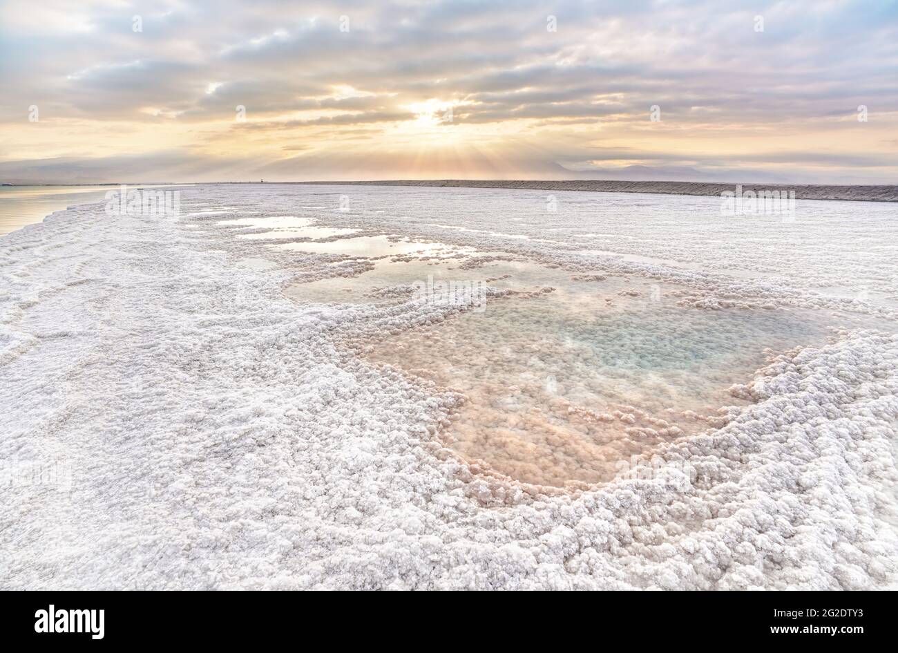 Crystalline white salt beach lit by morning sun, small pools with ...