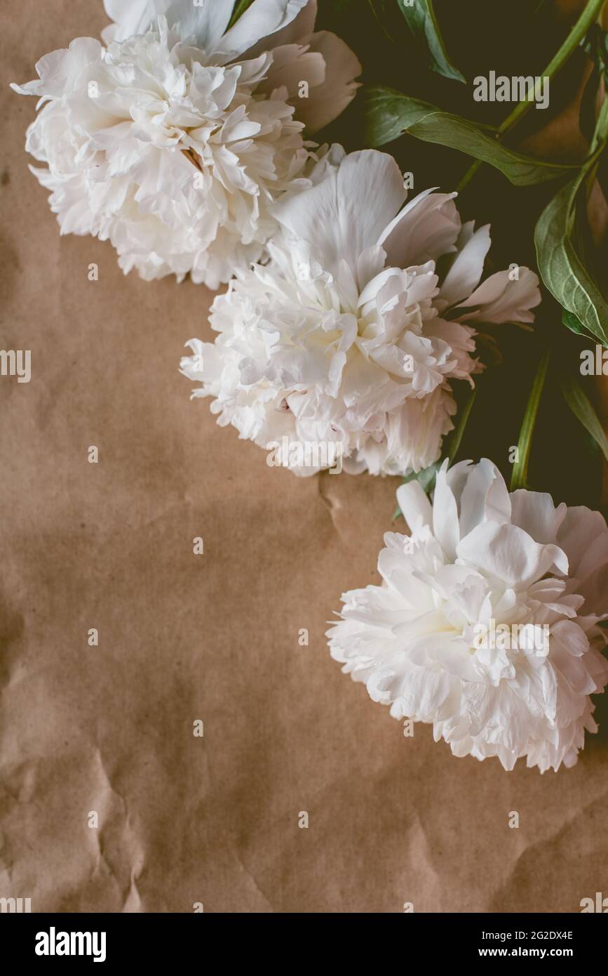 White peonies pattern on craft paper background with copy space Stock ...