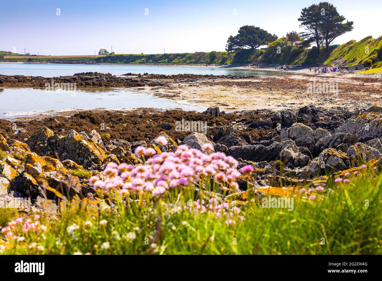 Co down beach hi-res stock photography and images - Alamy
