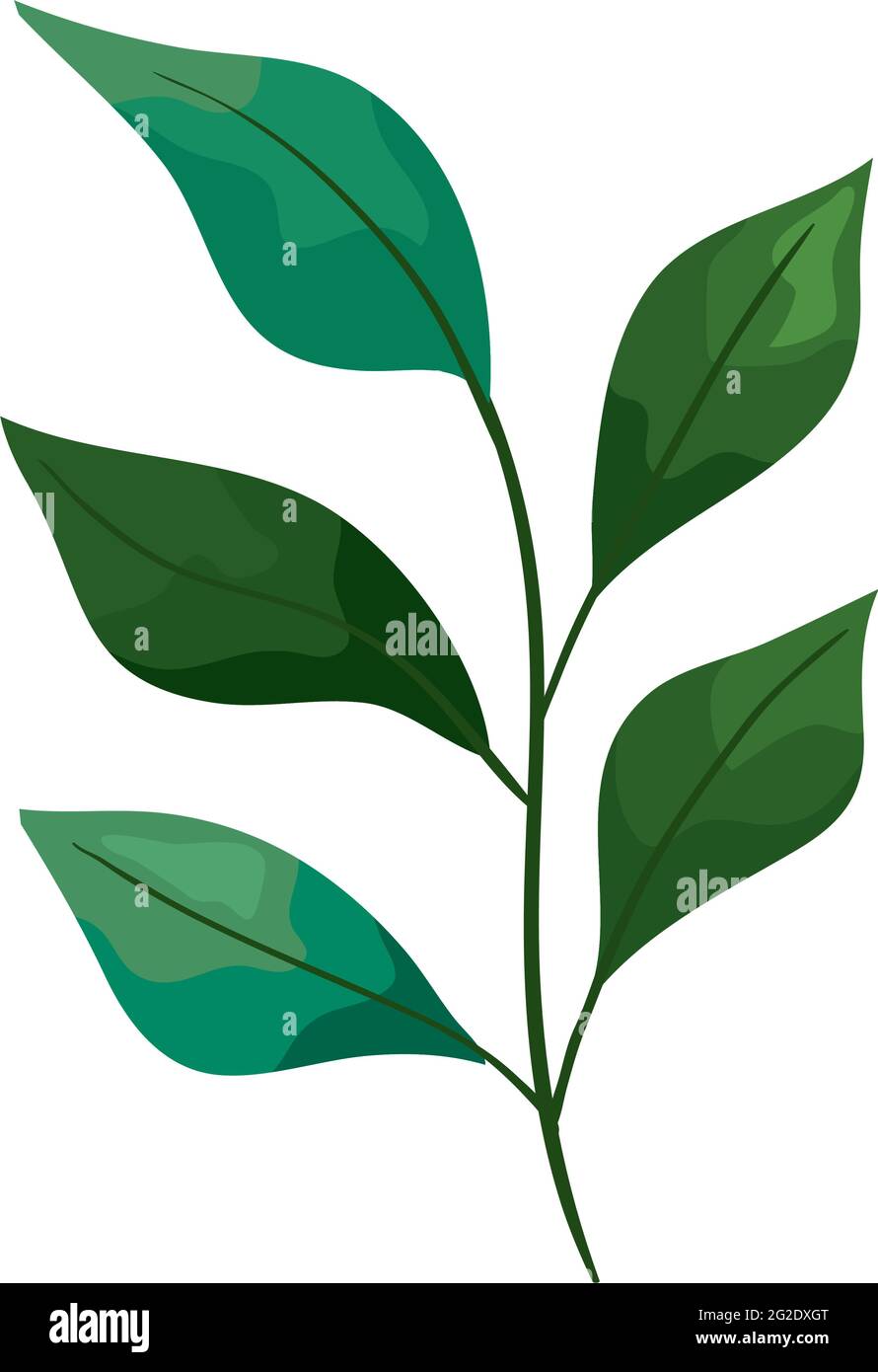 spring leaf icon Stock Vector Image & Art - Alamy