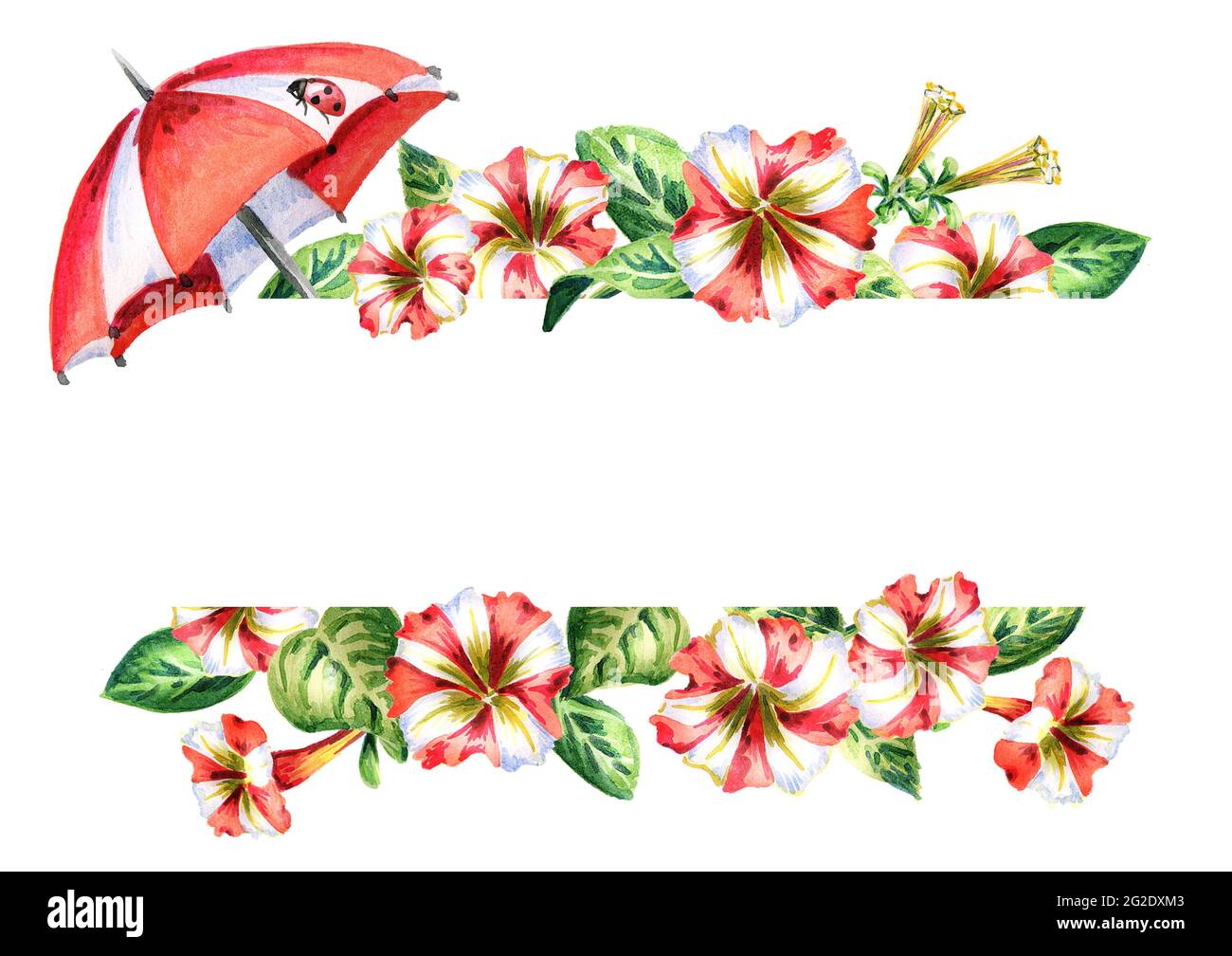 Red and white flowers header template. Watercolor background Stock ...