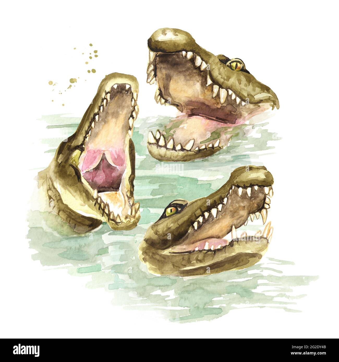 Alligator Head In Water Drawing