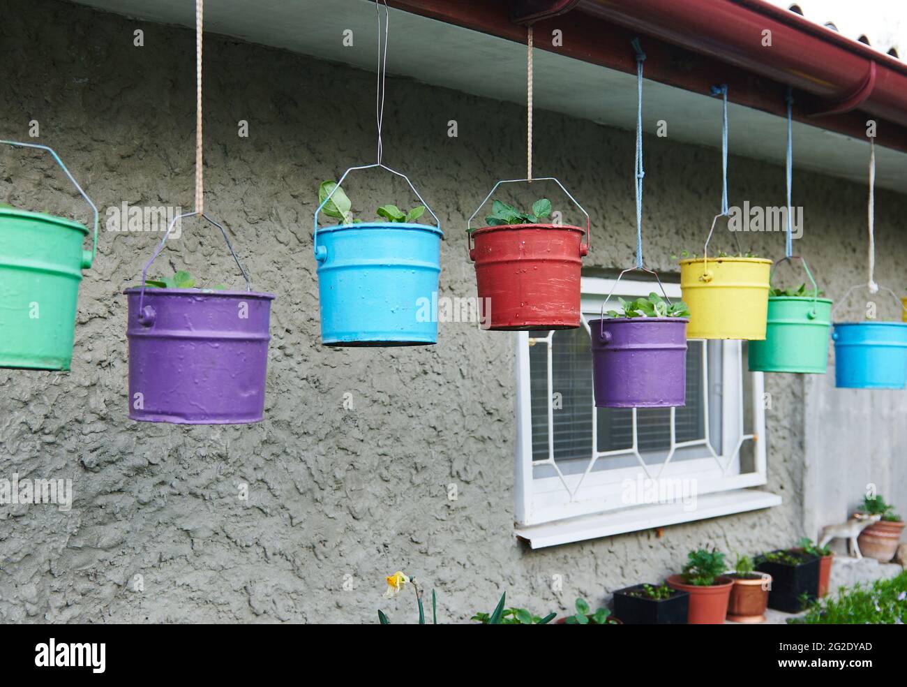 Multi-colored metal buckets painted in different bright colors with ...
