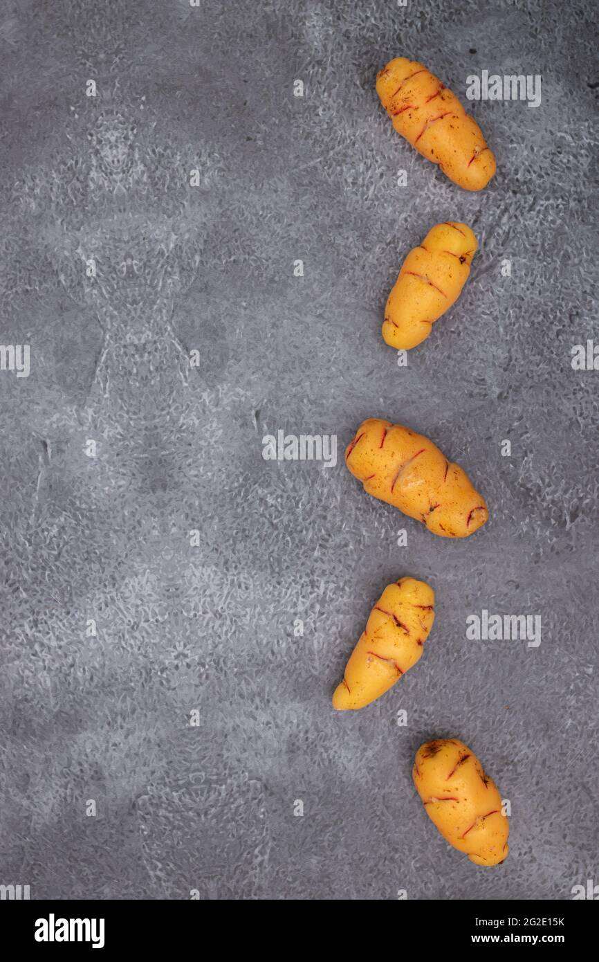 Group of ollucos, tuber used in Peruvian cuisine and the American Andes ...