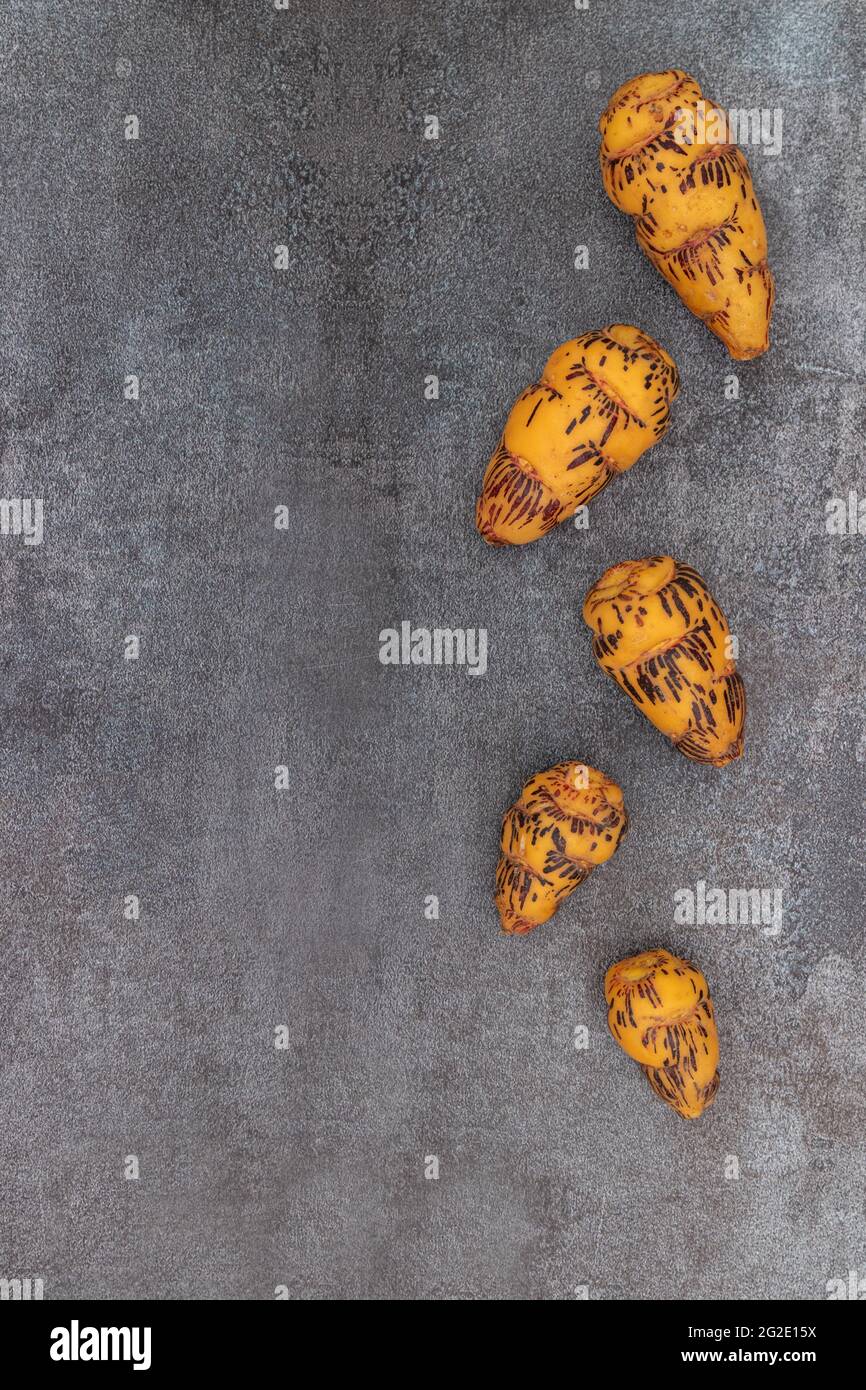 Oca, tuber used in Peruvian cuisine and the American Andes Stock Photo ...