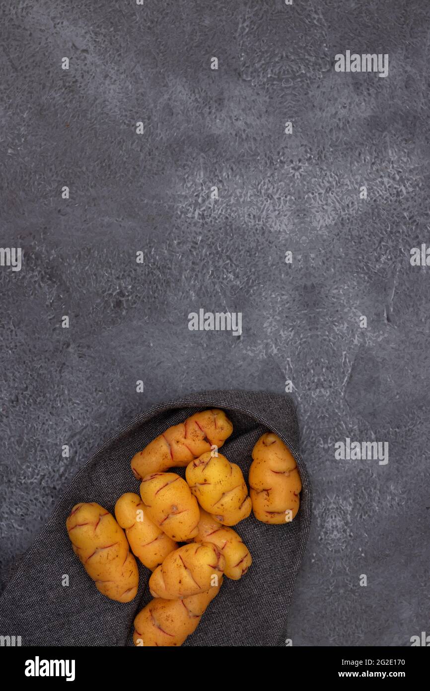 Group of ollucos, tuber used in Peruvian cuisine and the American Andes ...