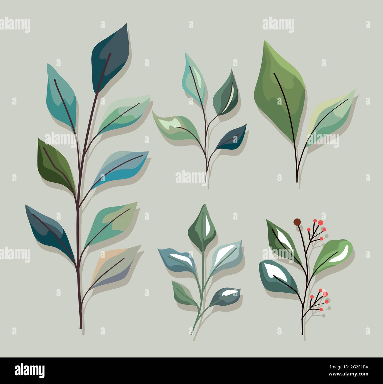 Plant leaves icon set Stock Vector Image & Art - Alamy