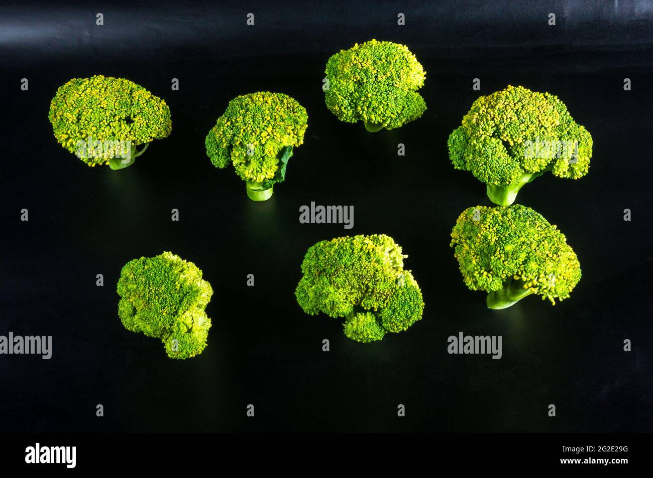 Fantasy mini landscape - trees made with broccoli on a black background ...
