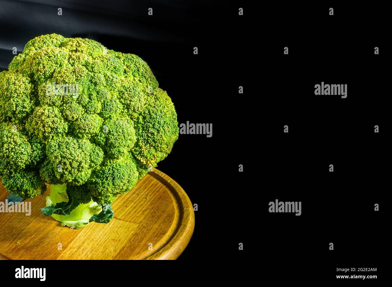 Fantasy mini landscape - tree made with broccoli on a black background ...