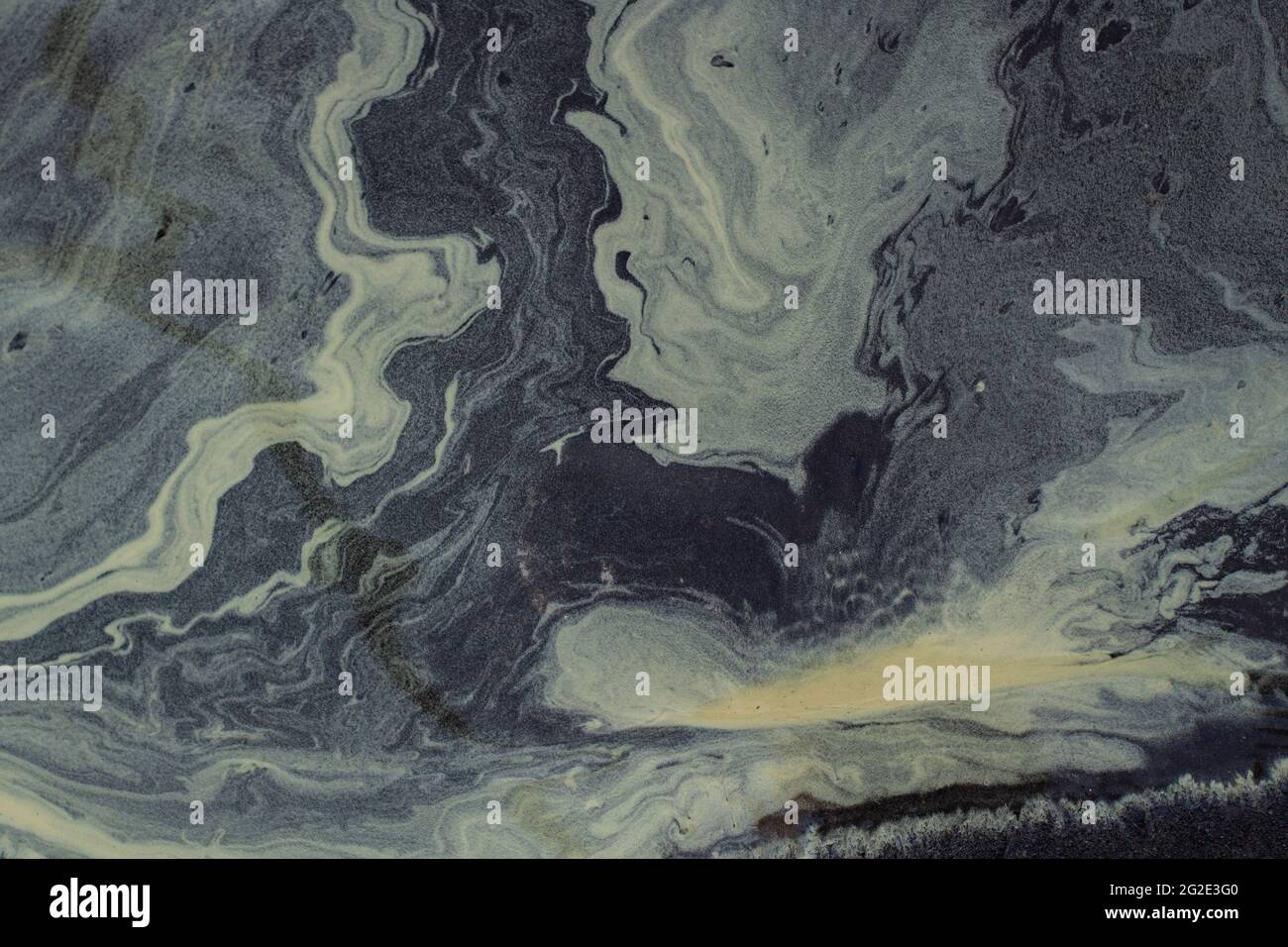 Pollen grains in water hi-res stock photography and images - Alamy