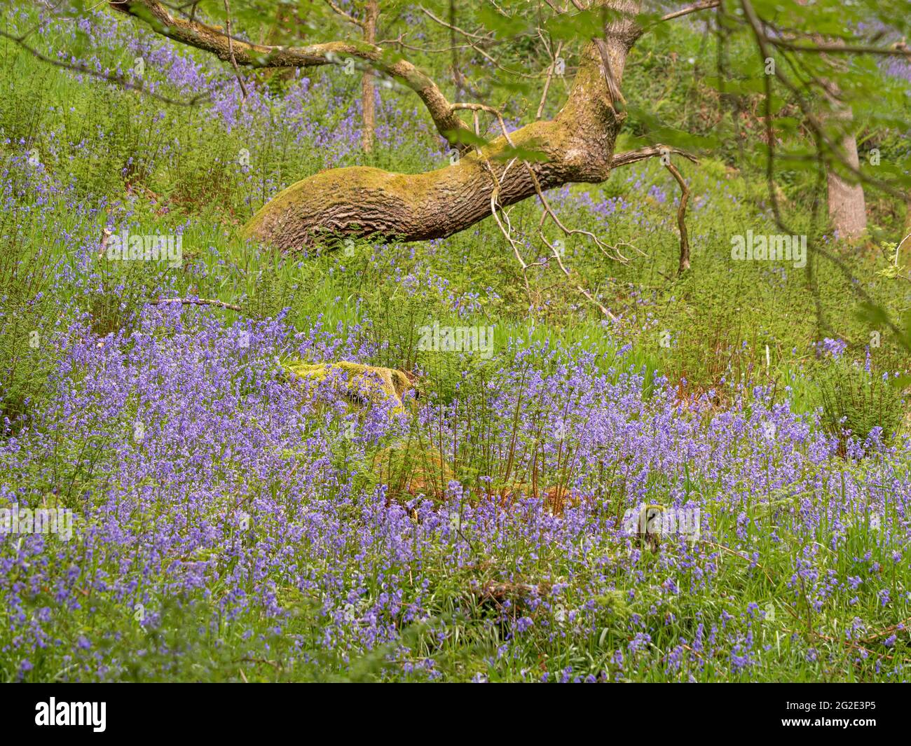Hardcastle hi-res stock photography and images - Alamy