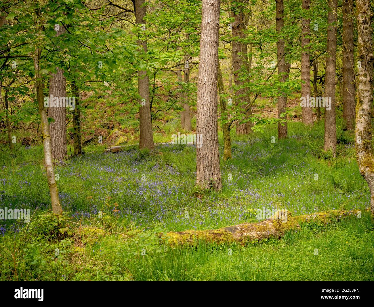 Hardcastle hi-res stock photography and images - Alamy