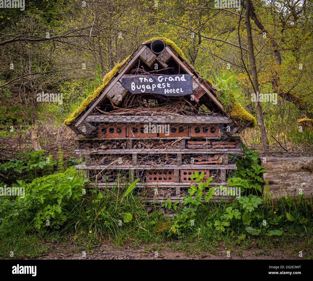 Bug house hi-res stock photography and images - Alamy