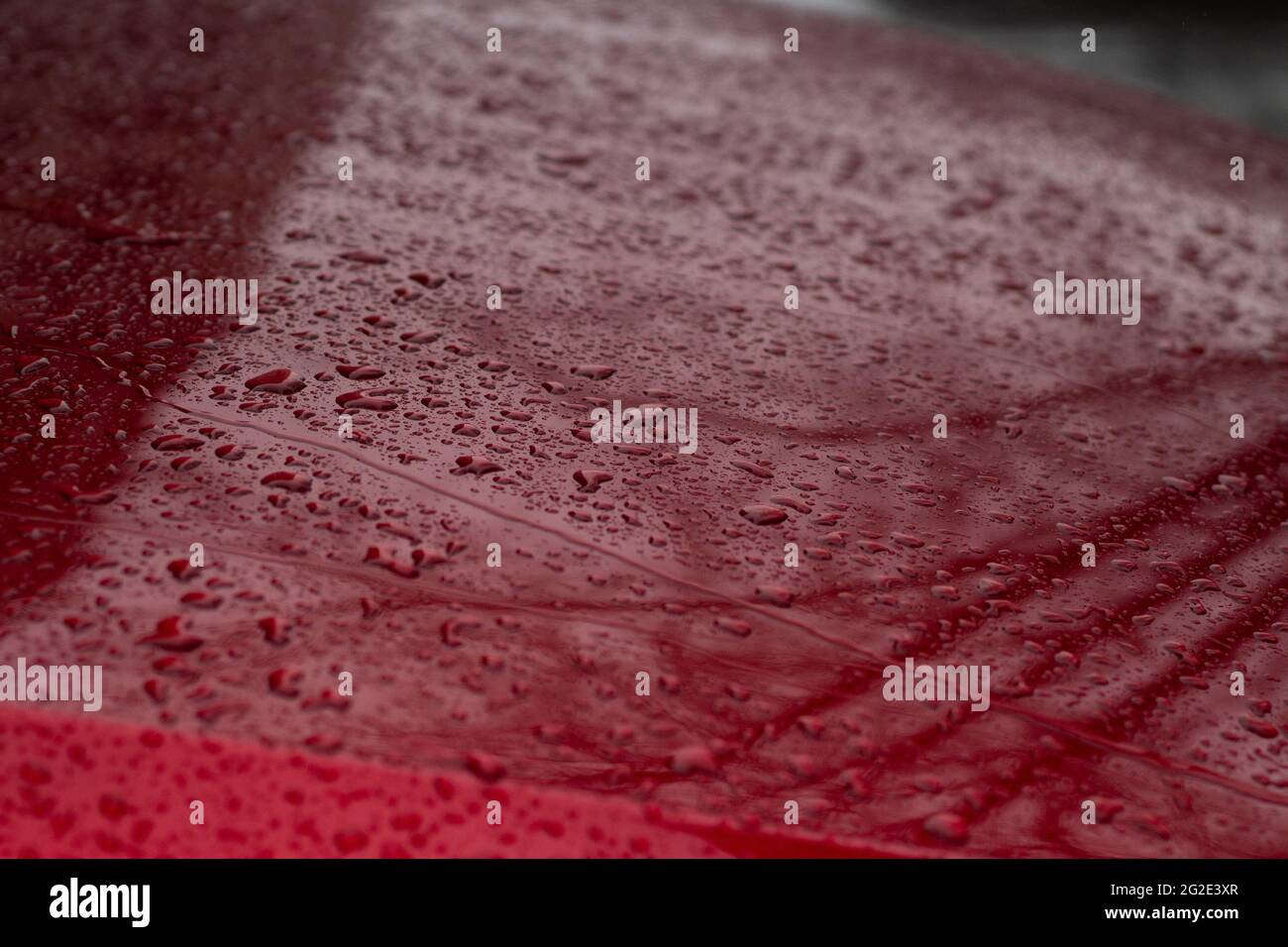 The surface of the car in raindrops. The red car is covered with water ...