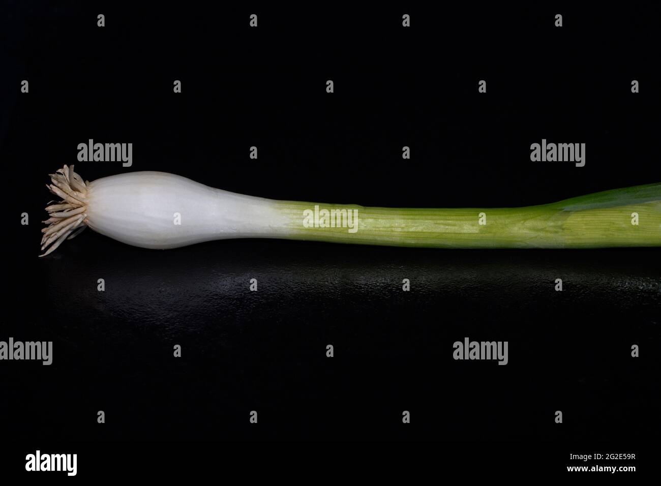 Welsh onion hi-res stock photography and images - Alamy