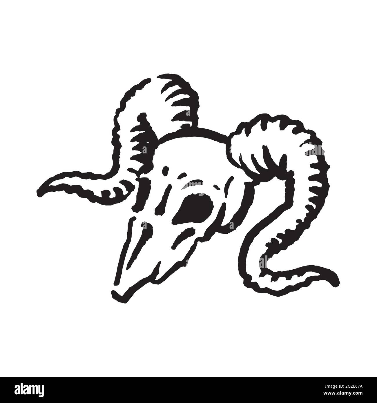 Mystical magic witch ram skull hand drawn illustration Stock Vector ...