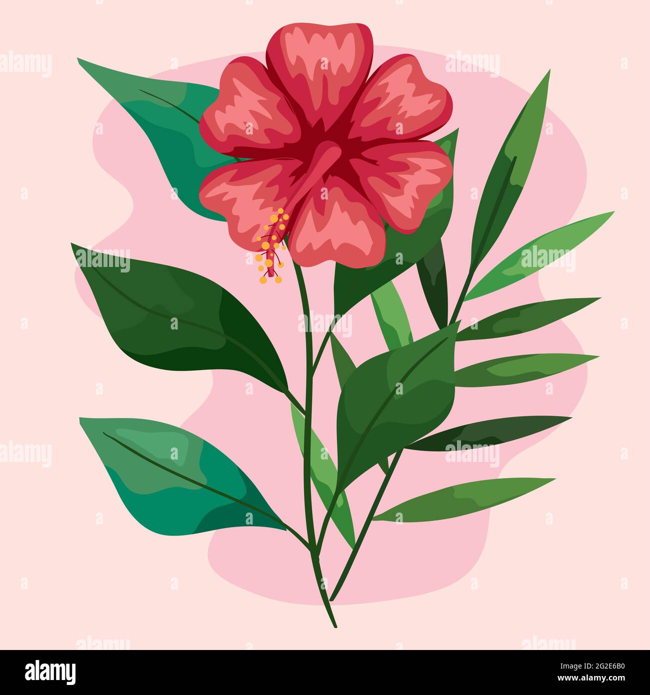 red hawaiian flower with leaves Stock Vector Image & Art - Alamy