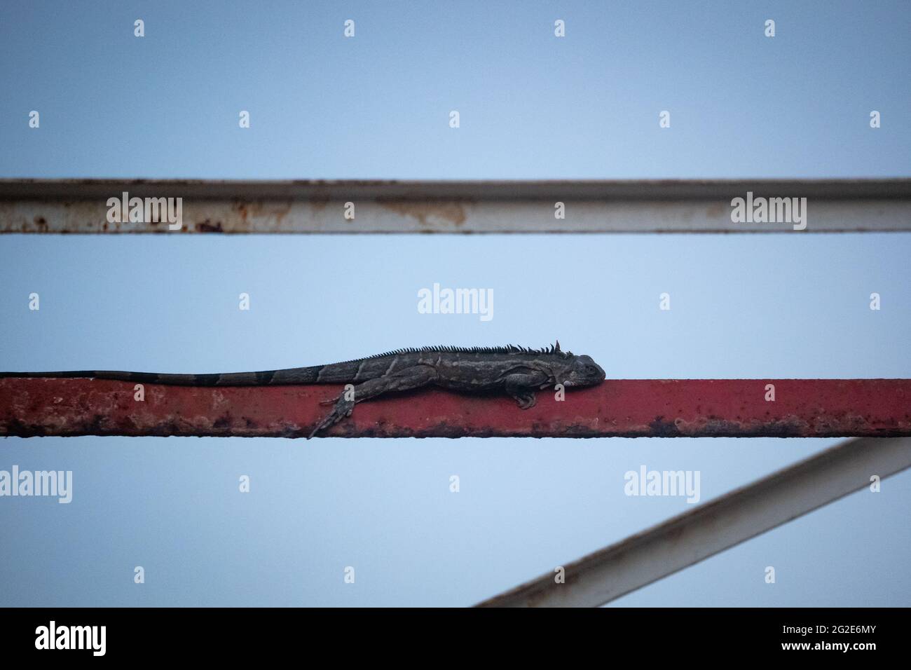 Dragon lighthouse hi-res stock photography and images - Alamy