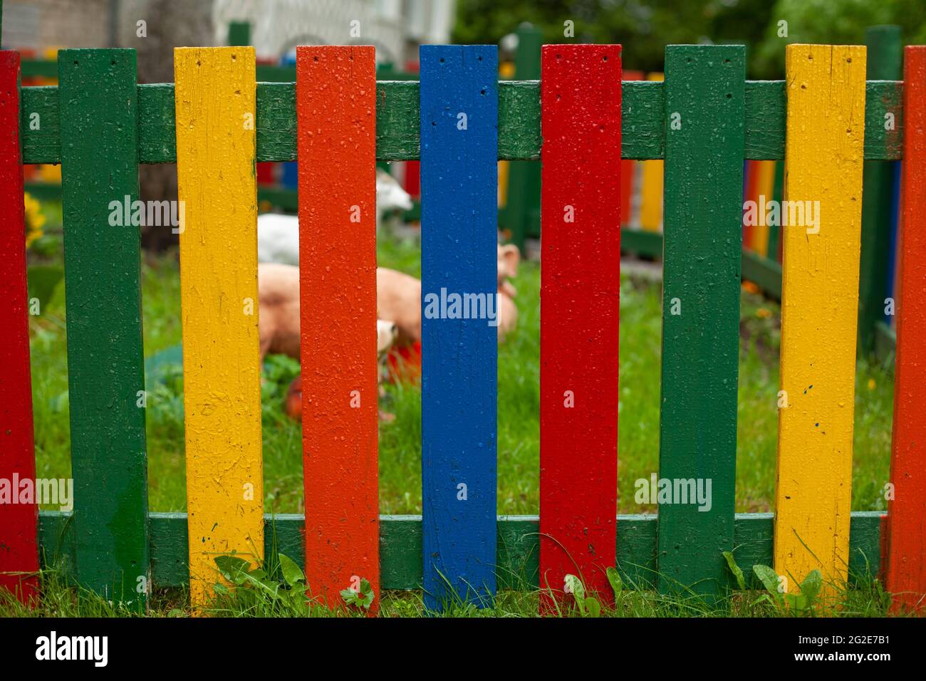 Colored wooden fence made of boards. The fence is painted in different ...