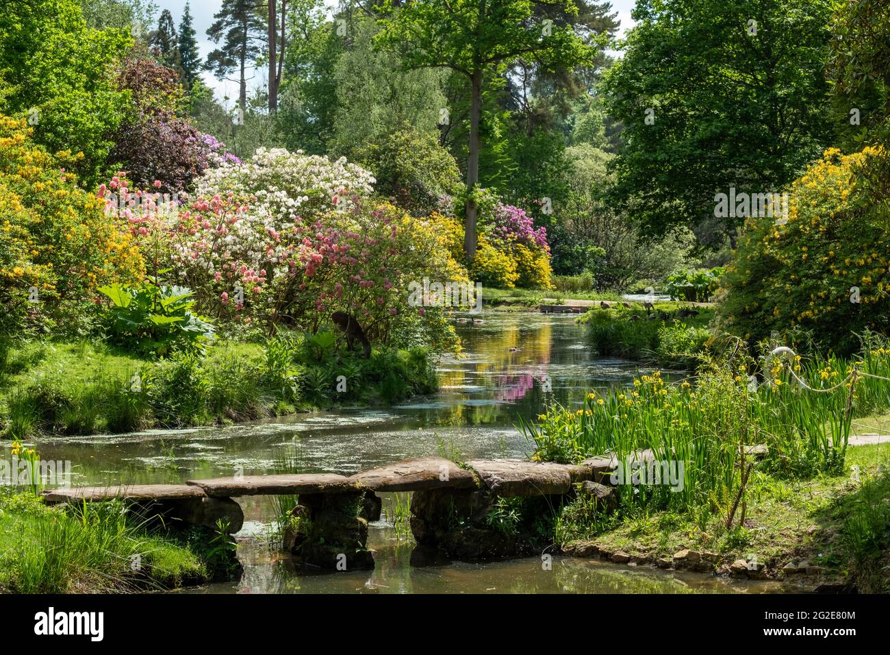 Leonardslee gardens trees hi-res stock photography and images - Alamy