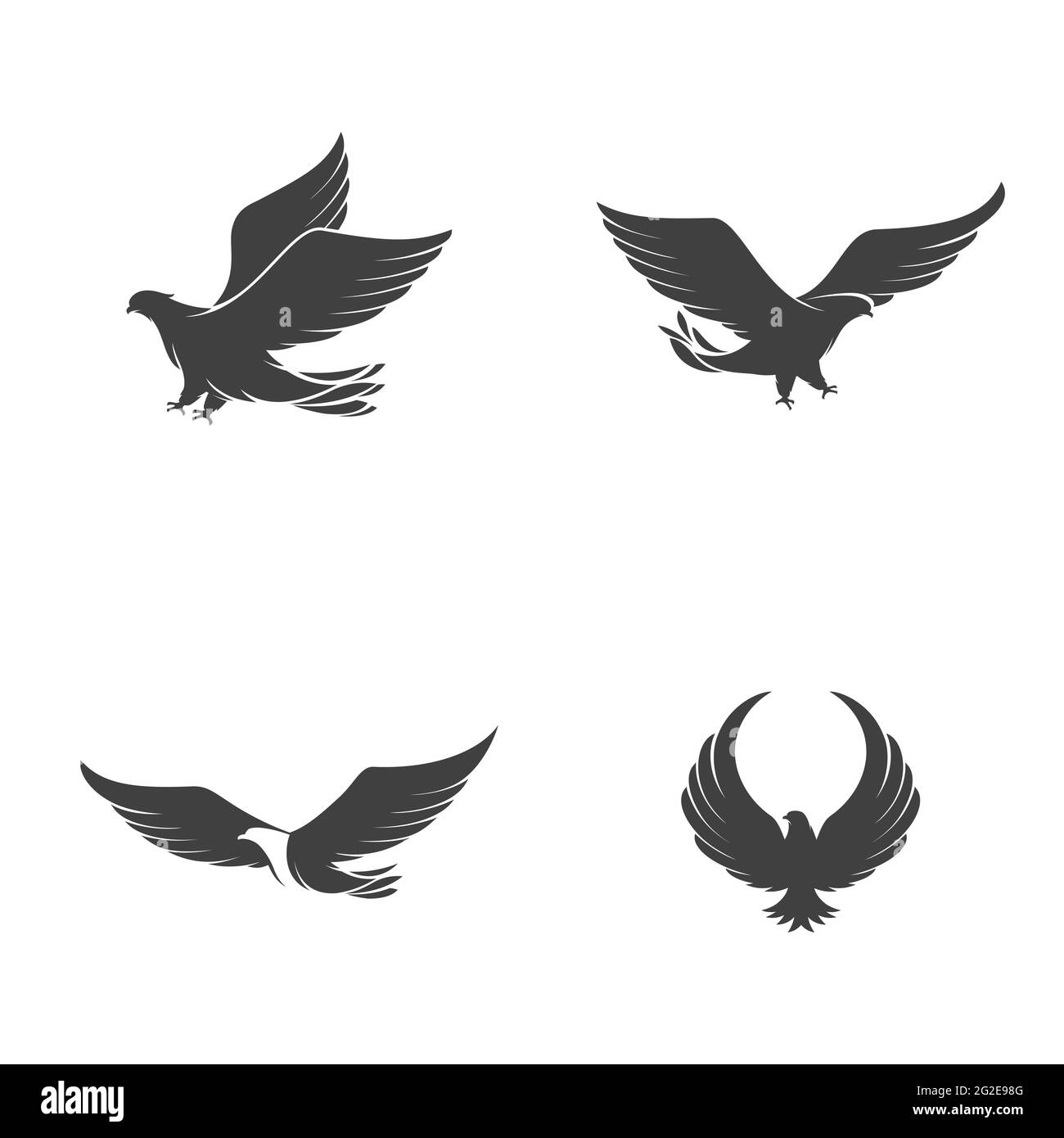Falcon wing icon Template vector illustration design Stock Vector Image ...
