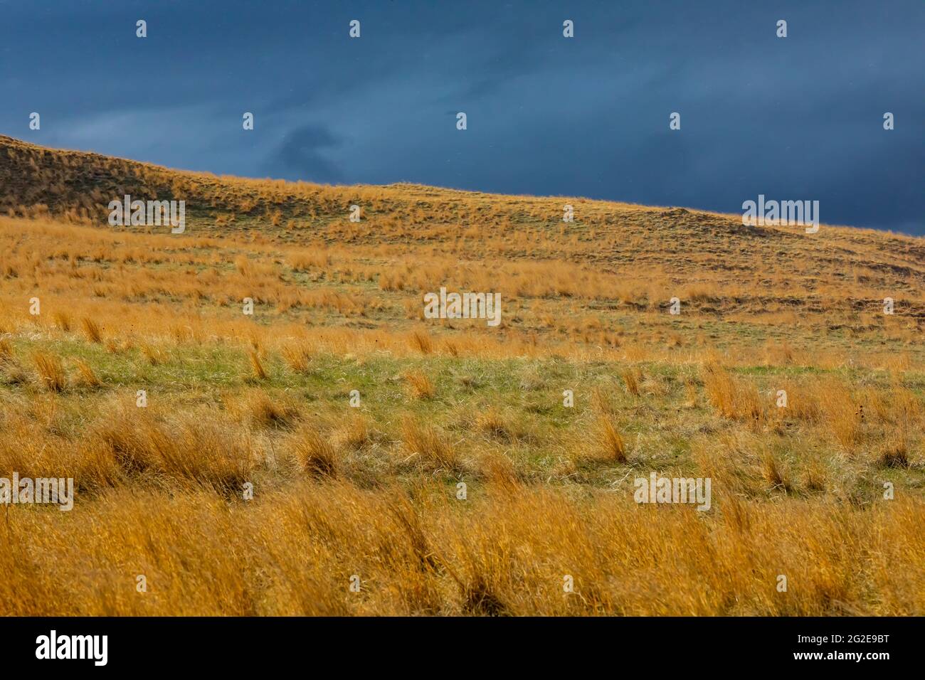 Wind Cave National Park, South Dakota, USA Stock Photo - Alamy
