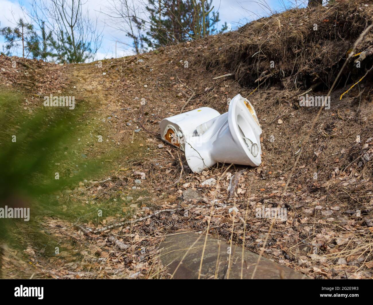 Toilet Litter. Pollution of the forest by household rubbish on nature ...