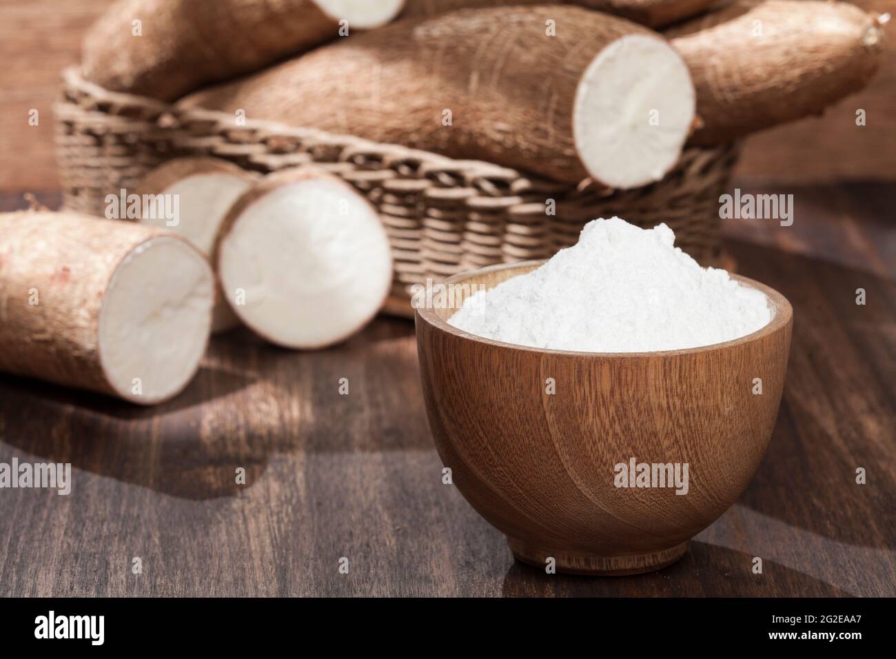 Organic raw Cassava Root Starch - Manihot esculenta Stock Photo - Alamy