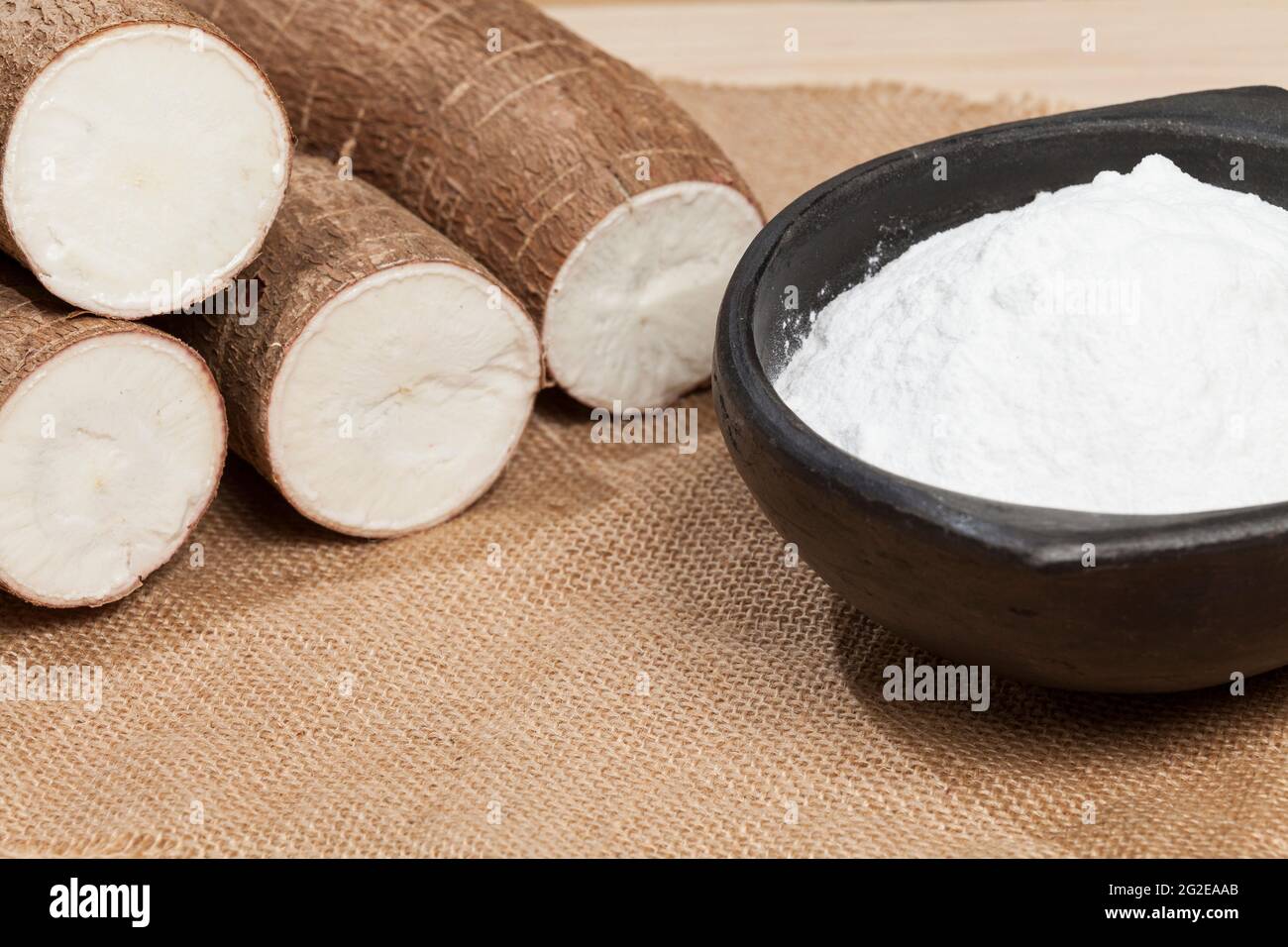 Organic raw Cassava Root Starch - Manihot esculenta Stock Photo - Alamy