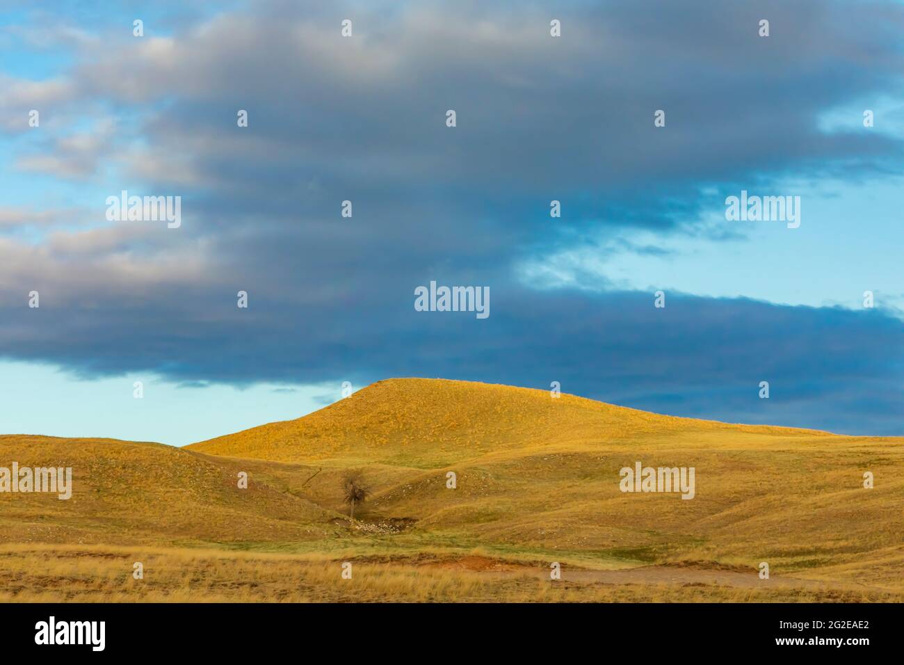 Mixed grass prairie of Wind Cave National Park, South Dakota, USA Stock ...