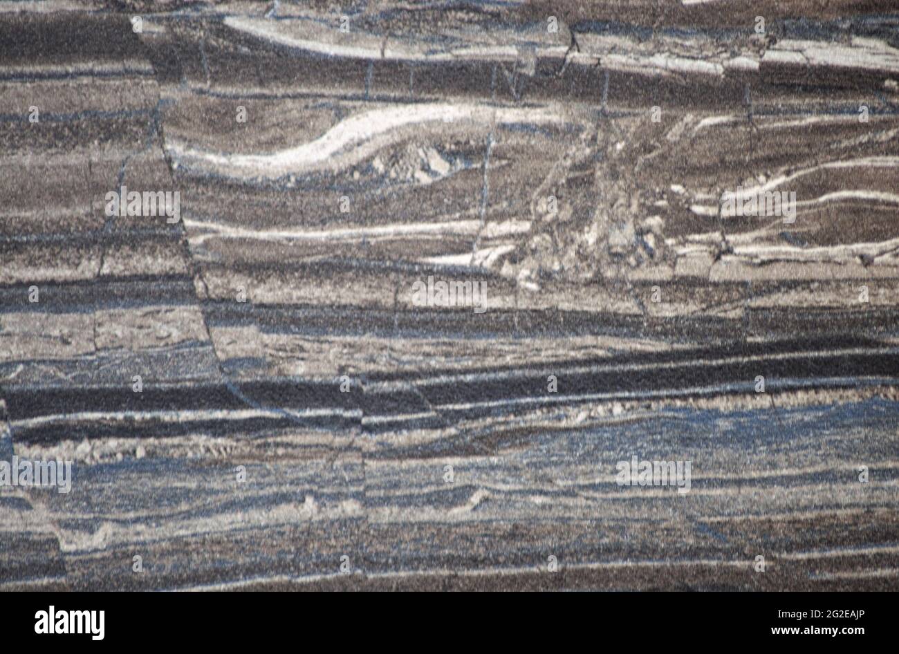 Flat surface of dark cracked sandstone with white stripes close-up ...