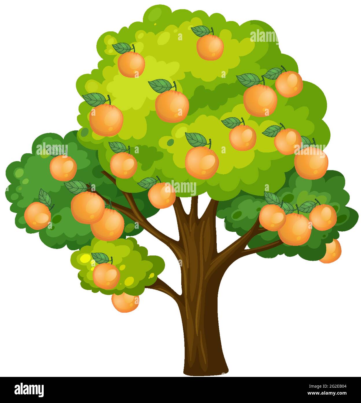 Orange tree isolated on white background illustration Stock Vector ...