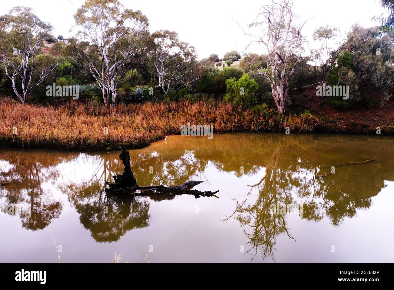 The Onkaparinga River running through Old Noarlunga in South Australia ...