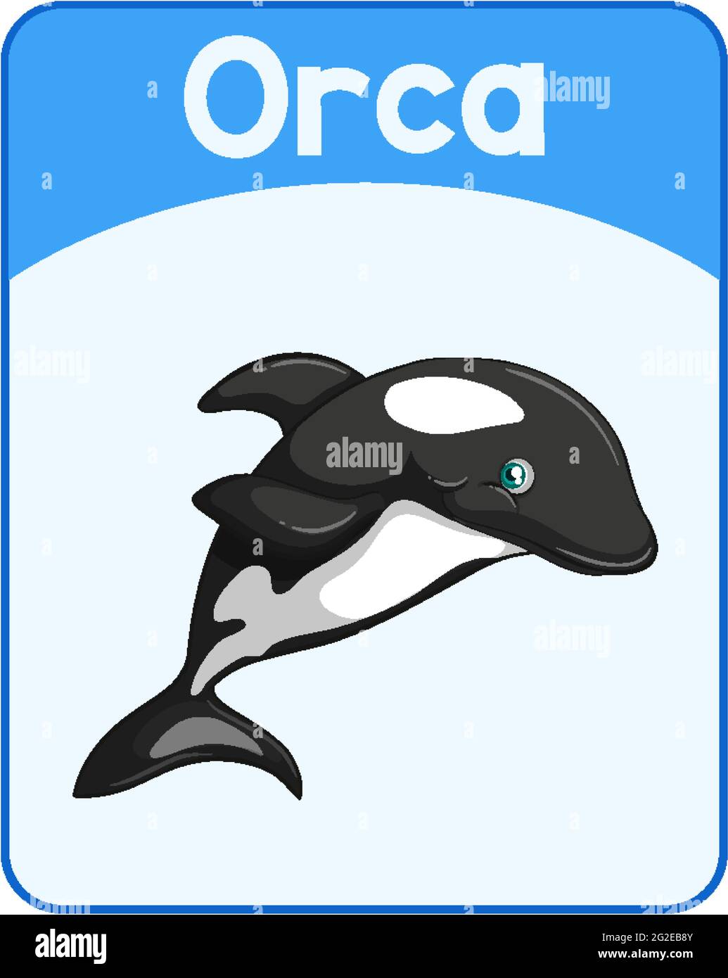 Educational English word card of Orca illustration Stock Vector Image ...