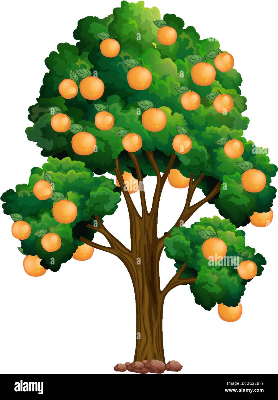 Orange tree isolated on white background illustration Stock Vector ...