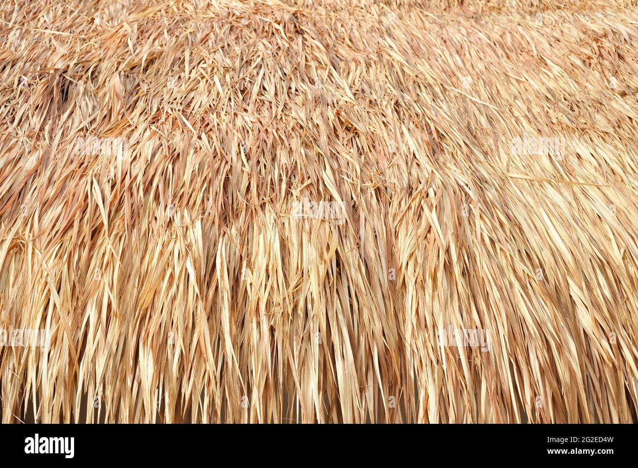 Tropical woven roof hi-res stock photography and images - Alamy