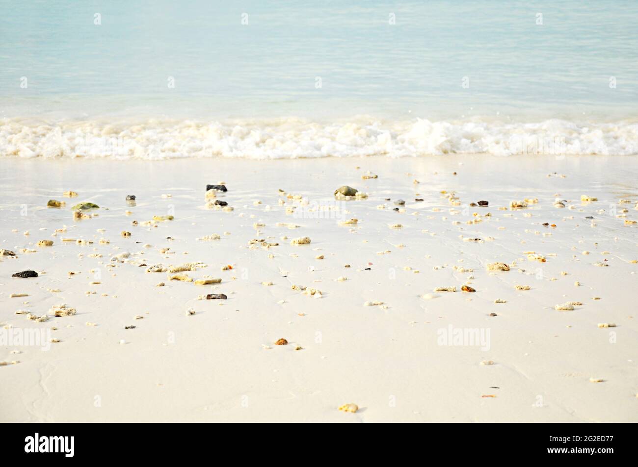 Beach with small shells on the sand Stock Photo - Alamy