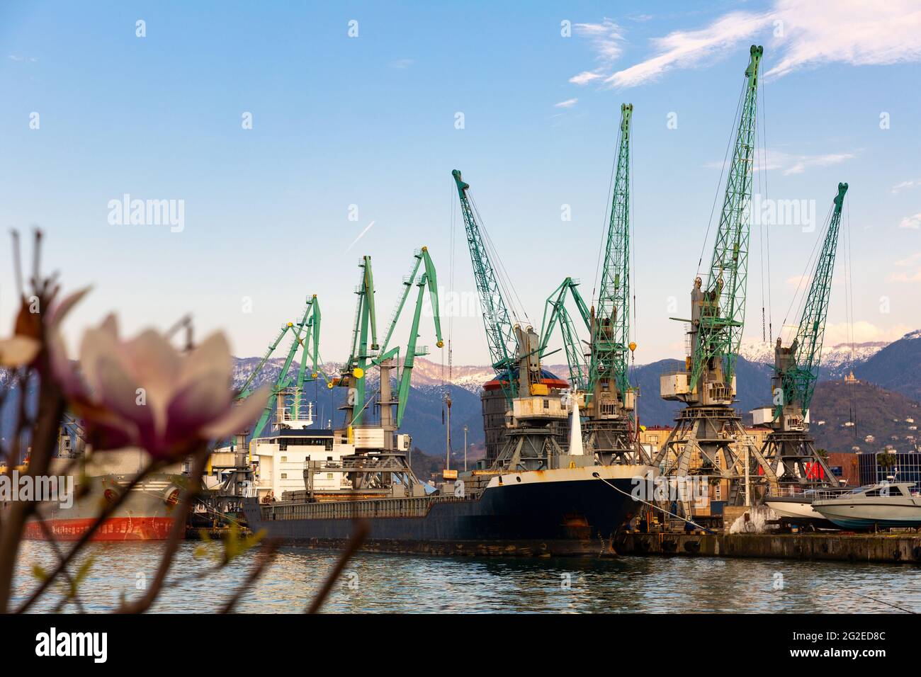 Batumi Sea Port, Black Sea coast, Georgia Stock Photo - Alamy